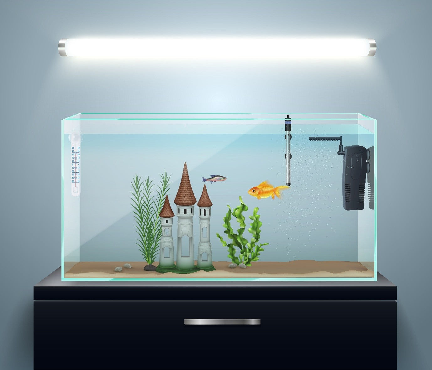 Custom Fish Tanks for Small Spaces: Big Impact in a Compact Setup ...