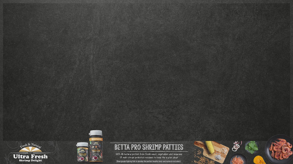 Betta Shrimp Patties | Ultra Fresh Betta Pro